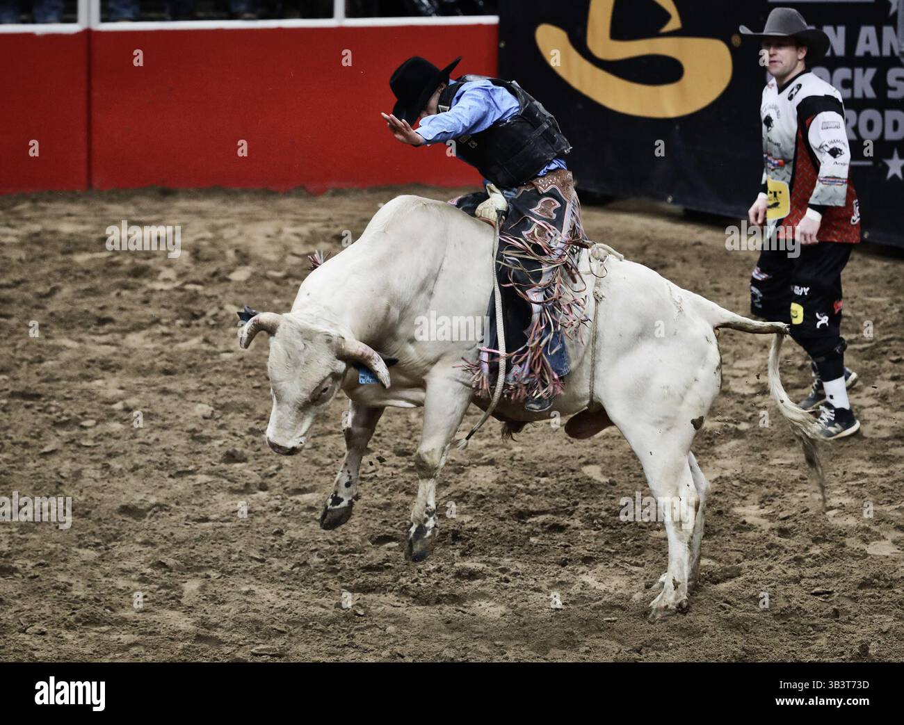 Elliot jacoby hi-res stock photography and images - Alamy