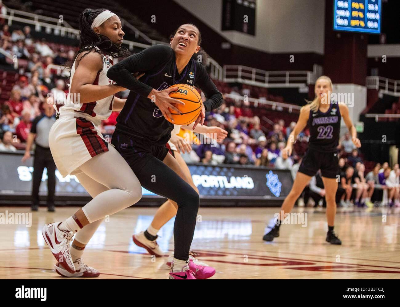 2025 _0452 jpg hi-res stock photography and images - Alamy