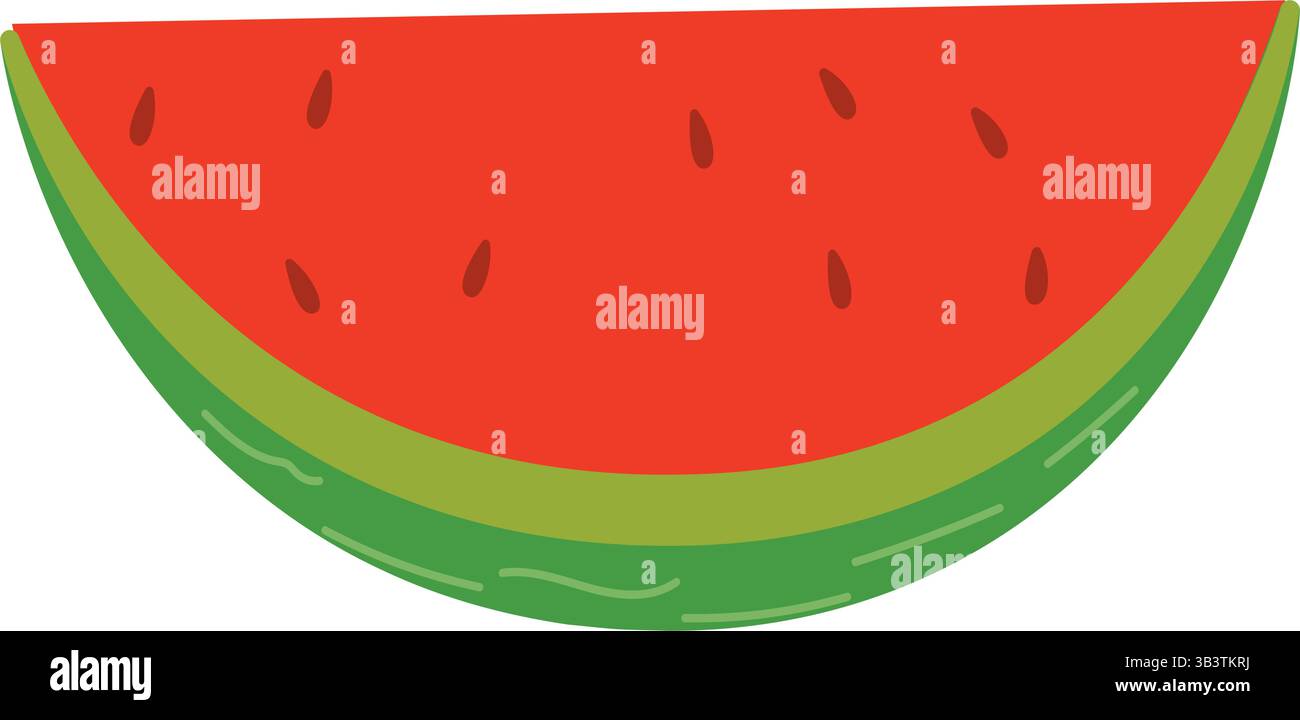 Half round watermelon slice. Vector illustration Stock Vector Image ...