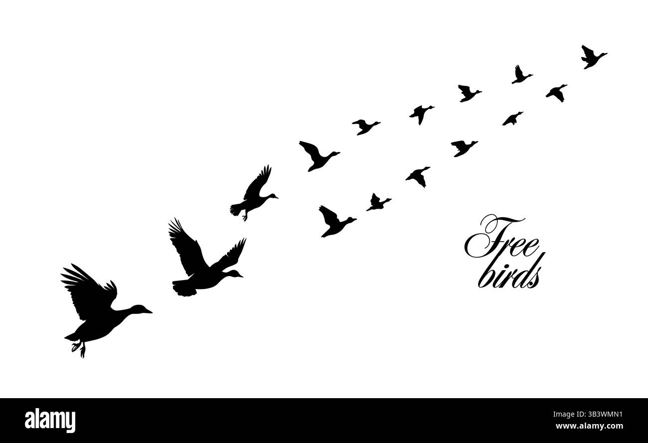 A flock of ducks flying. hand drawing. Not AI. Vector illustration ...