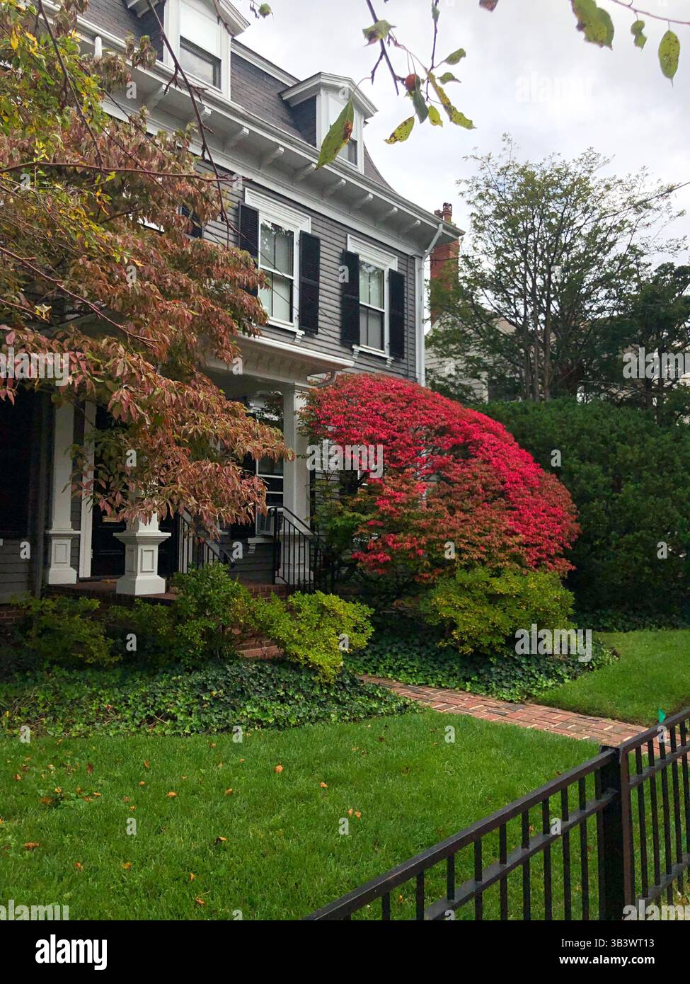 Classic private house with a small plot in the American suburbs Stock ...