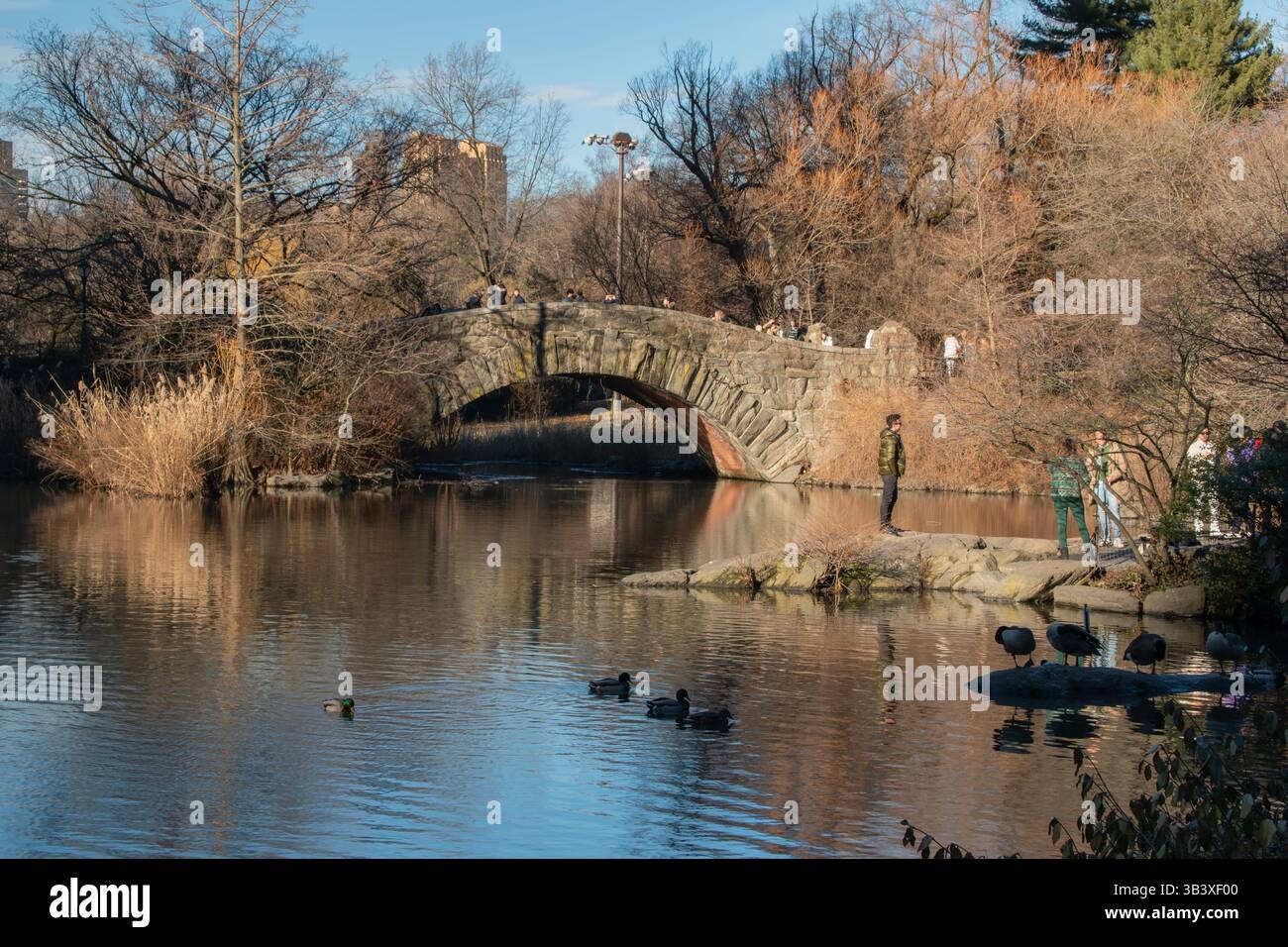 People walking in Central Park in Manhattan, New York City, NYC, NY ...