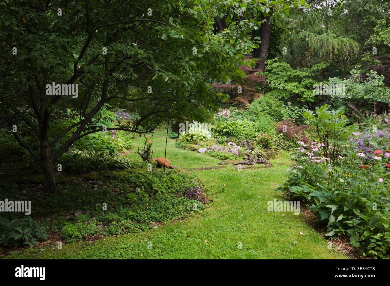 Green grass paths and borders with various perennial shrubs, flowers ...