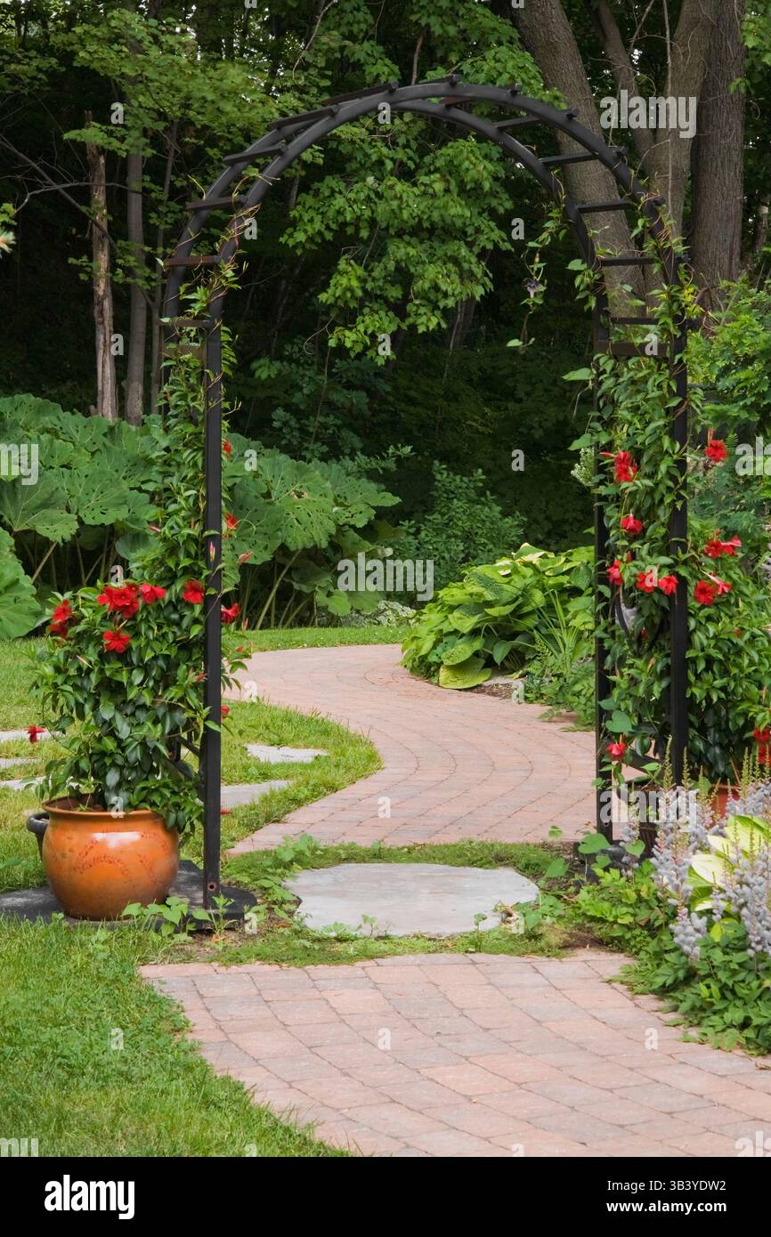 Tan paving stone path leading to black wrought-iron metal arbour with ...