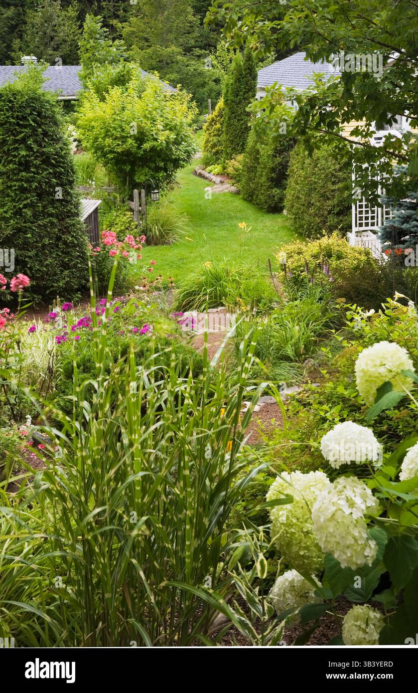 Mixed border with Miscanthus sinensis 'Strictus' - Zebra Grass and ...