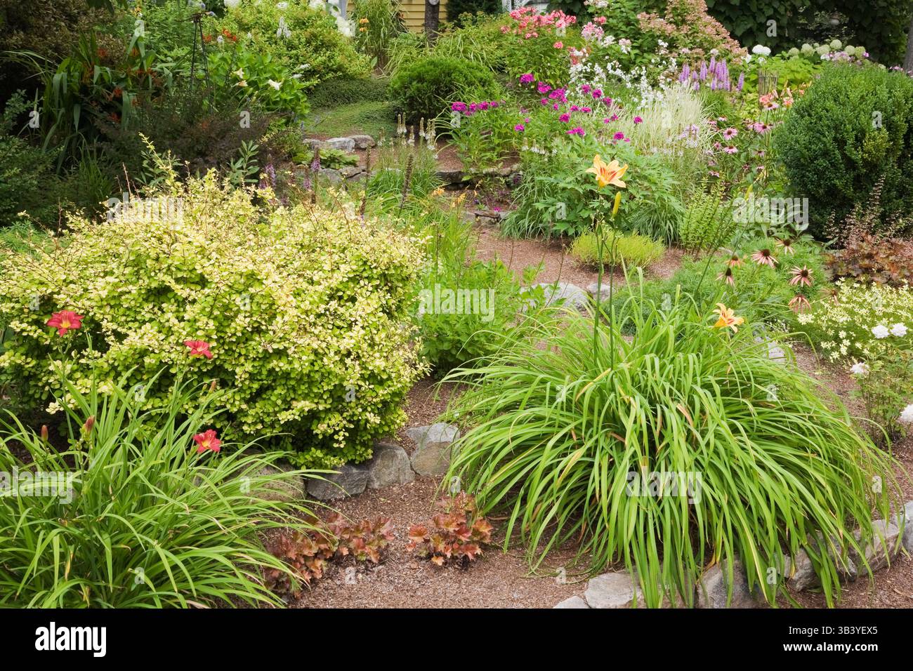 Rock edged mixed borders with pink and yellow Hemerocallis - Daylily ...