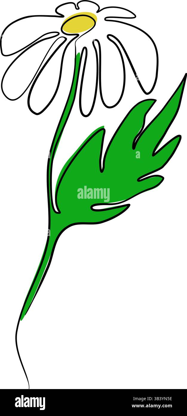 Romantic daisy flower in Stock Vector Images - Alamy