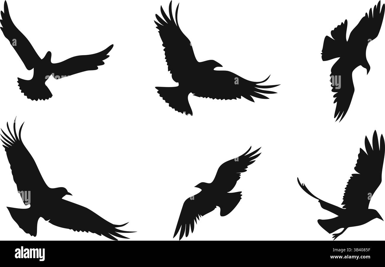 Bird flying in flight airborne Stock Vector Images - Alamy
