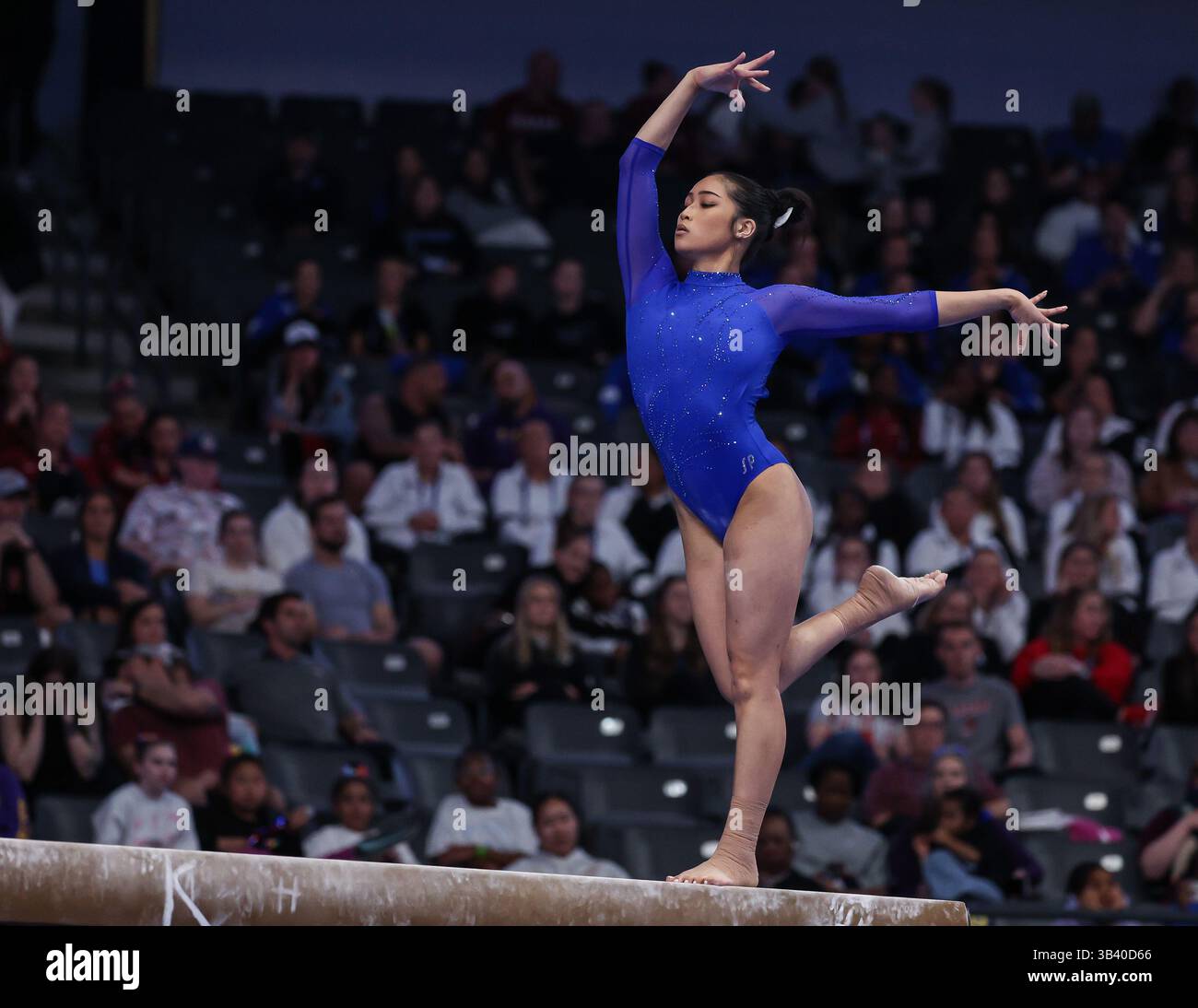 March 22, 2025: Florida's Victoria Nguyen on the balance beam during ...