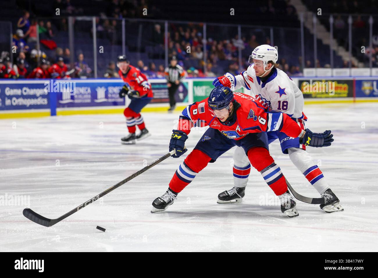 Rochester, New York, USA. 2nd Apr, 2025. Springfield Thunderbirds ...