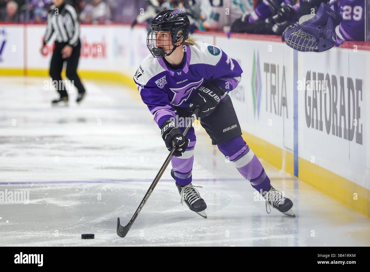 Butorac hi-res stock photography and images - Alamy