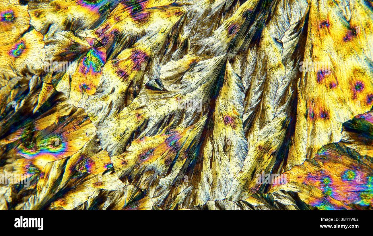 Polarised light micrograph of paracetamol (acetaminophen) crystals ...