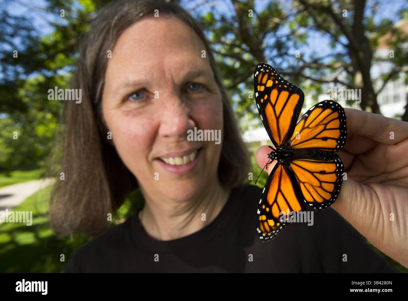 June 1, 2015 - St. Paul, MN, USA - Karen Oberhauser, a University of ...