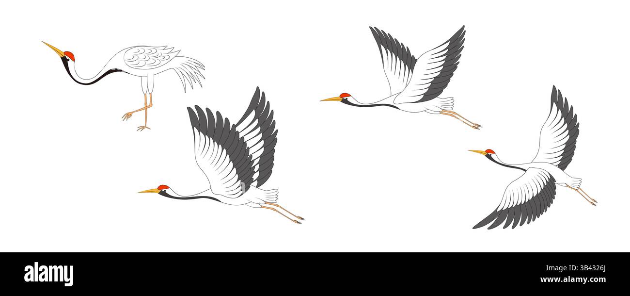 Vector illustration of four Chinese style cranes Stock Vector Image ...