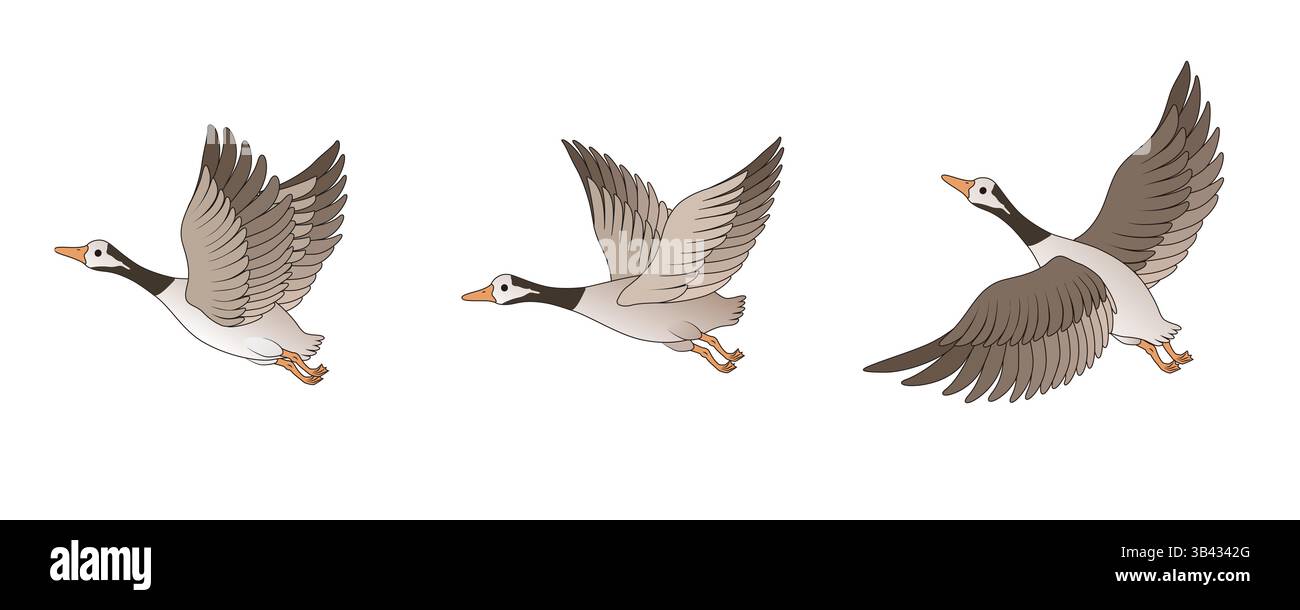 Bird flying illustration continuous Stock Vector Images - Alamy