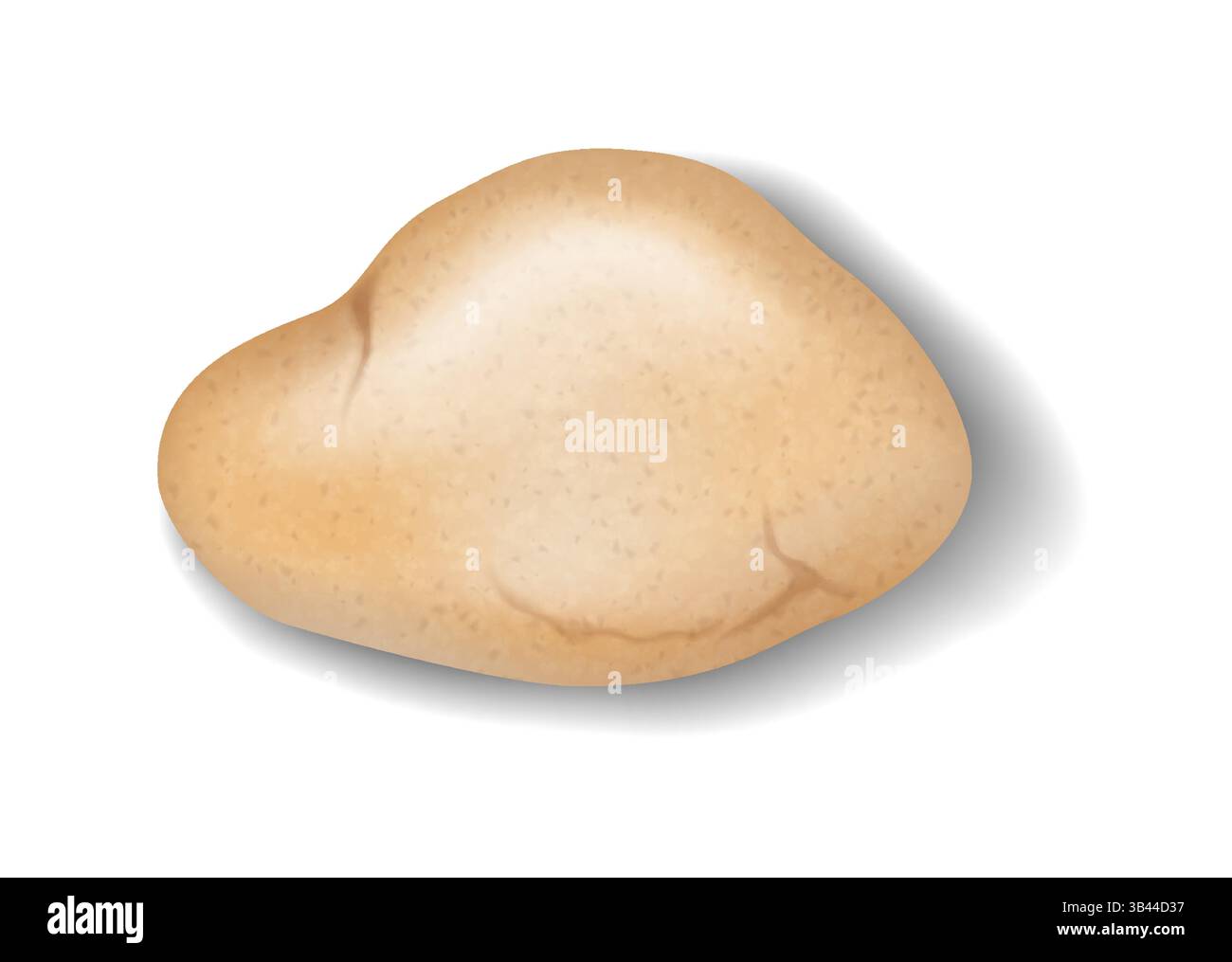 Realistic illustration of a brown potato with natural textures and ...