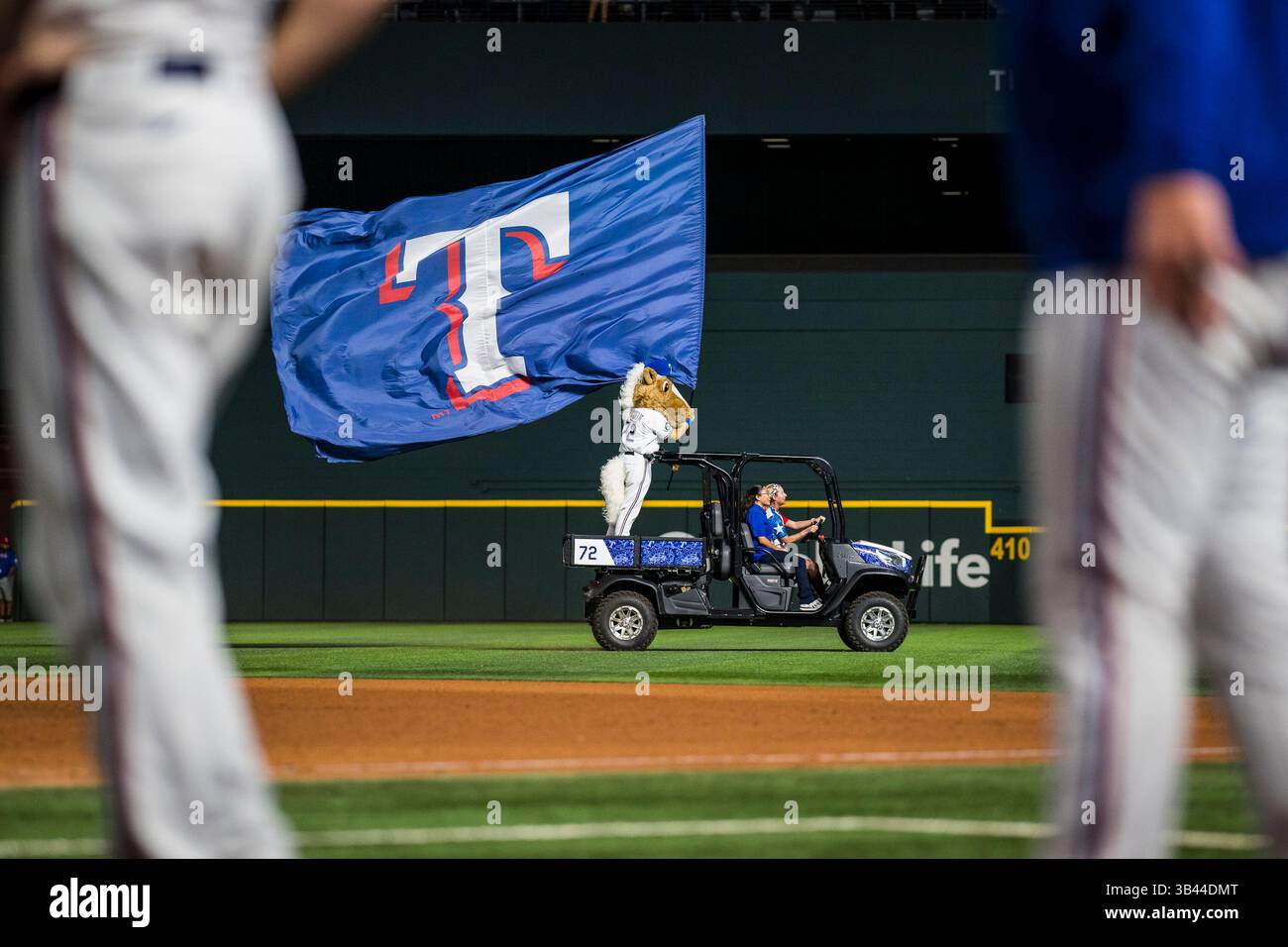 Texas Rangers mascot, Captain, celebrates the teams' win after a ...