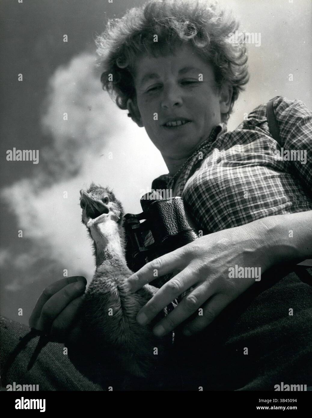 Feb. 24, 1958 - Warden of Lundy Island; Barbara Whitaker has attached ...