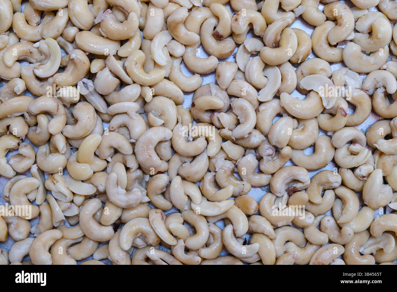 Roasted Cashew Nuts, oven process Stock Photo - Alamy