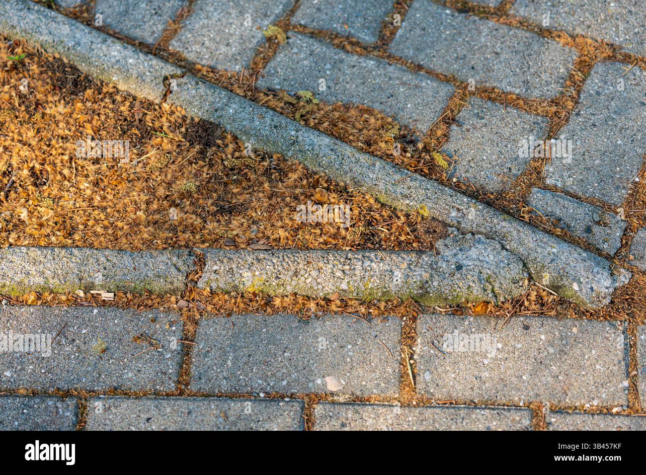 Groundwork layout hi-res stock photography and images - Alamy