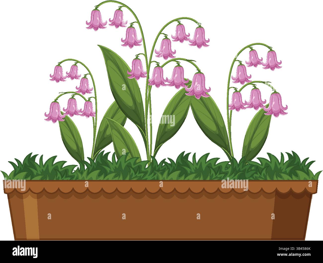 Bell planter Stock Vector Images - Alamy