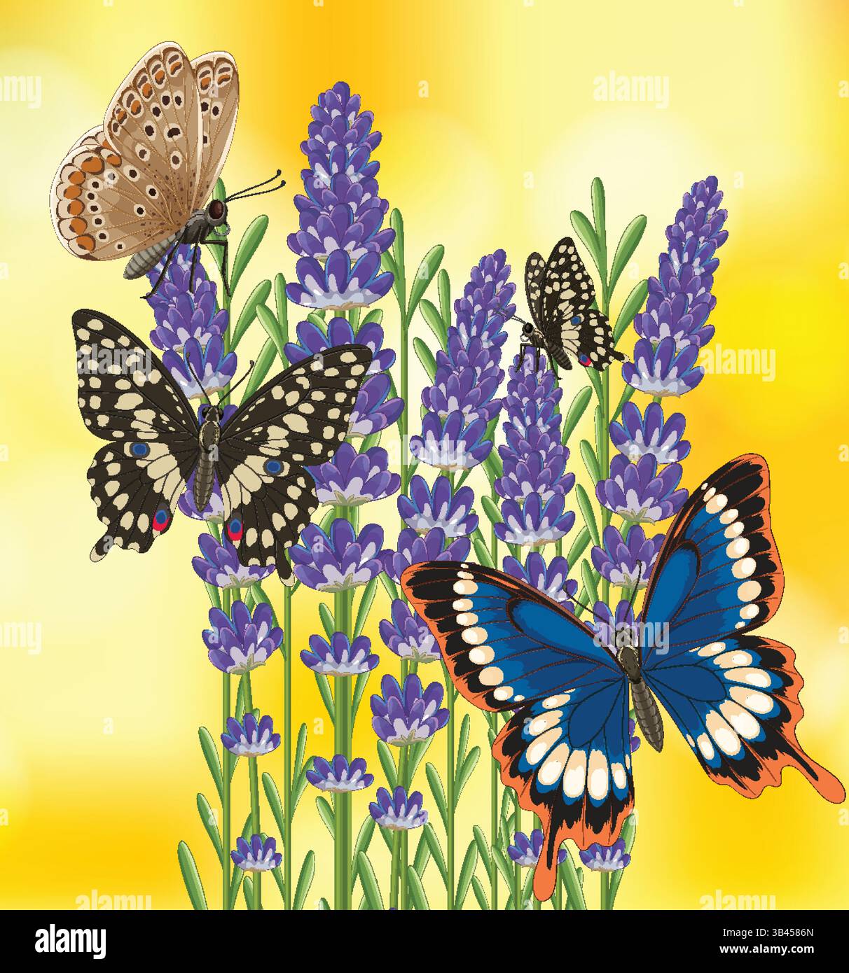 Colorful butterflies flutter around lavender blooms against a bright ...