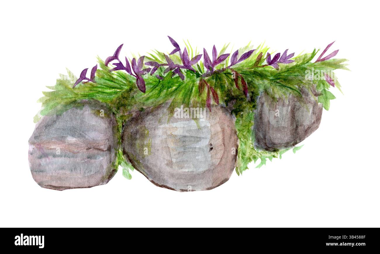 Rock formation with grass, river side landscape design element ...