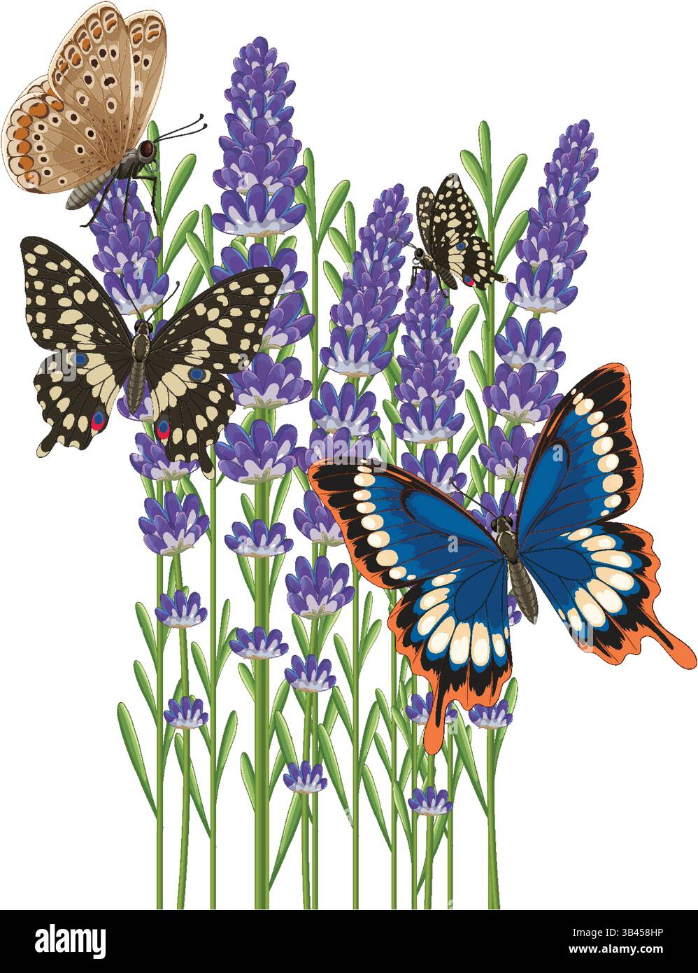 Patterns enhance Cut Out Stock Images & Pictures - Alamy