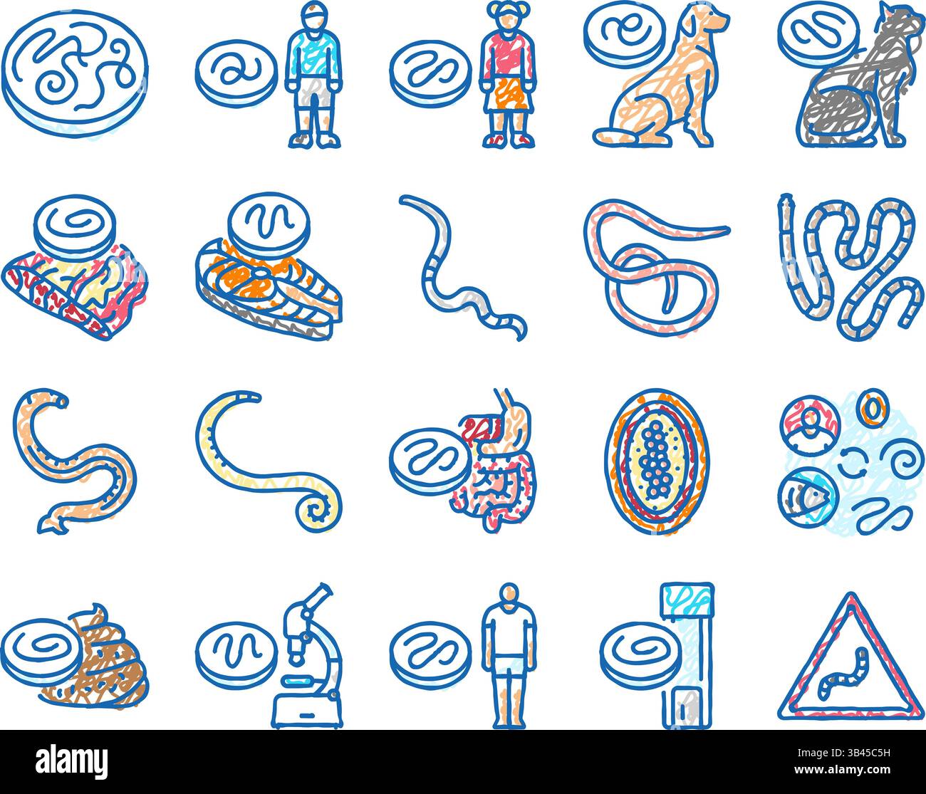 helminth worm parasite roundworm icons hand drawn Stock Vector Image ...