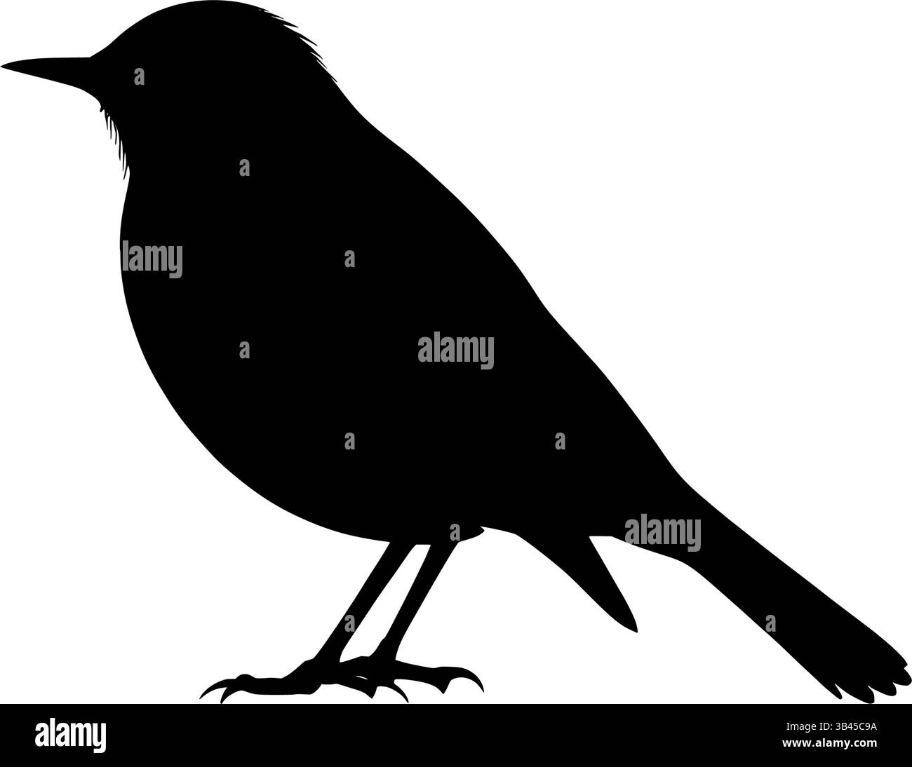 sparrow silhouette vector illustration avian wildlife design art Stock ...