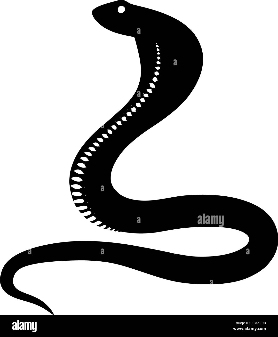 cobra snake illustration vector graphic design animal reptile Stock ...