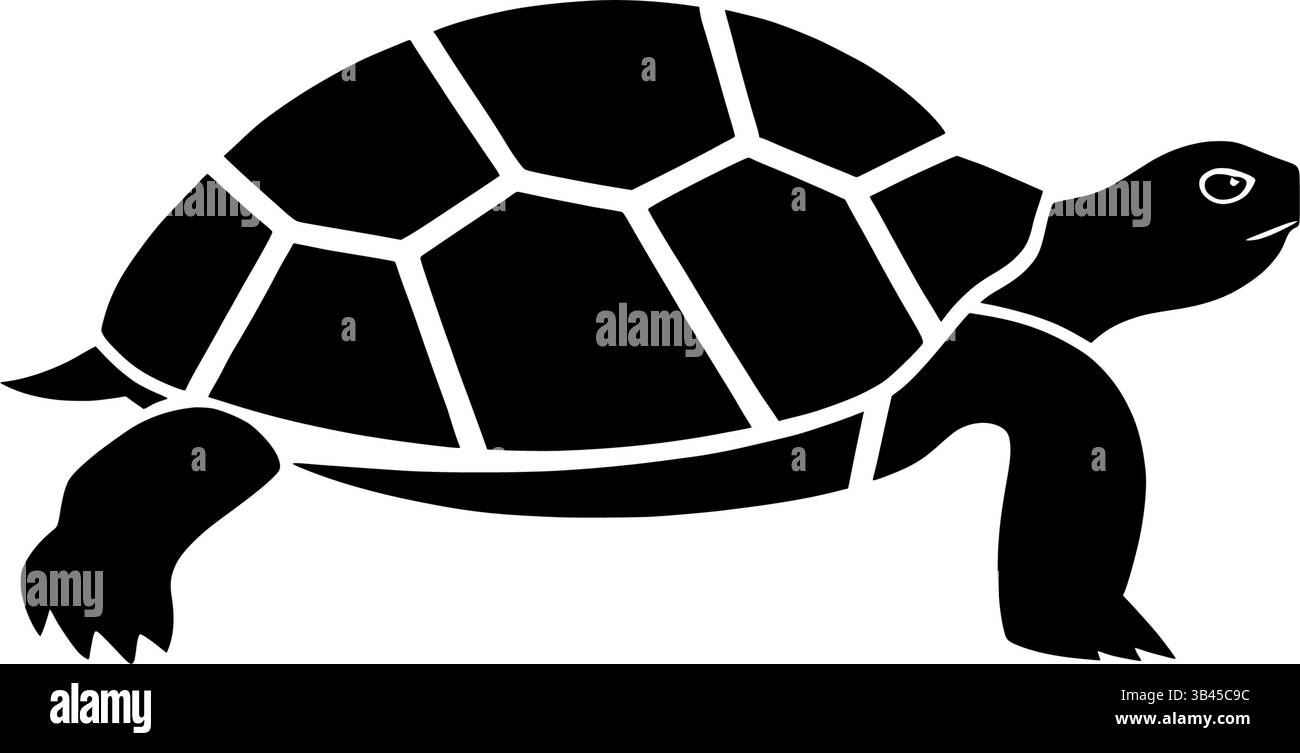 Turtle tortoise vector graphic silhouette reptile animal illustration ...