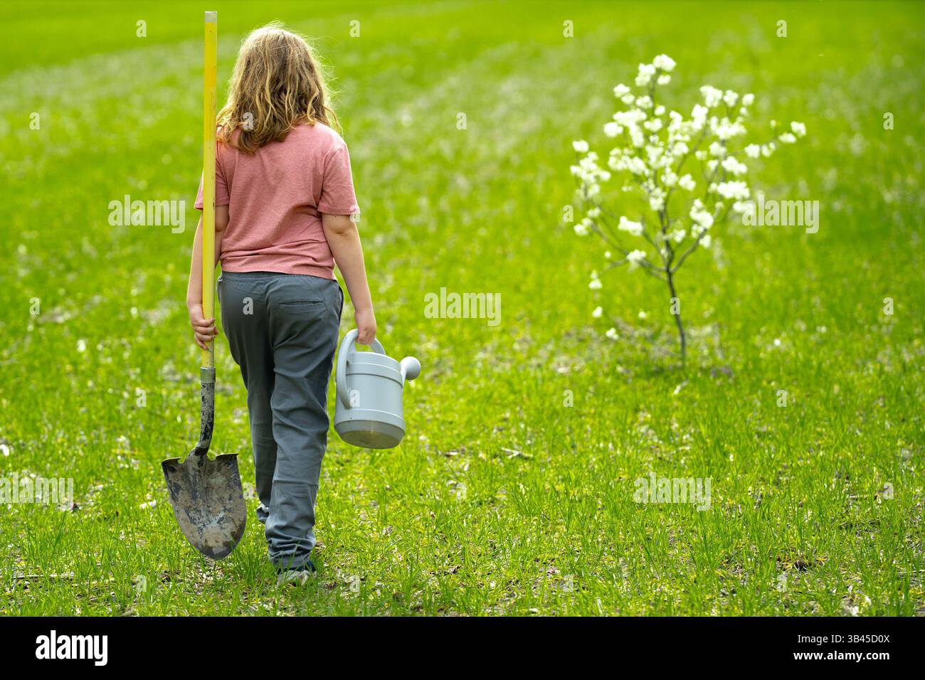 Child planting a spring tree. Kids grow up fruit tree. Kid gardener ...