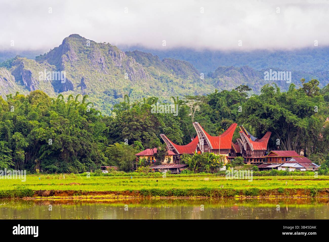 Panoramic view of traditional Toraja village in Lembang Parinding ...