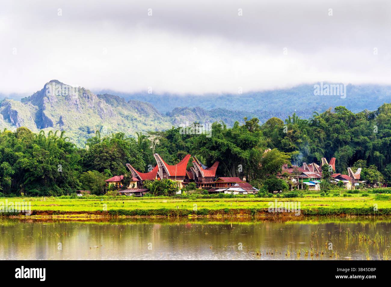 Panoramic view of traditional Toraja village in Lembang Parinding ...