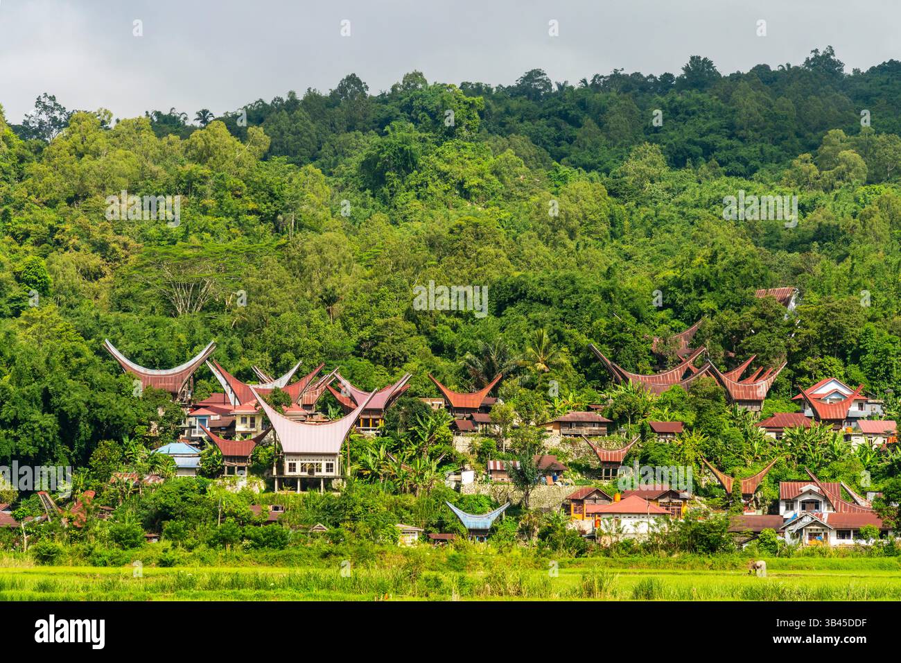 Panoramic view of traditional Toraja village in Lembang Parinding ...