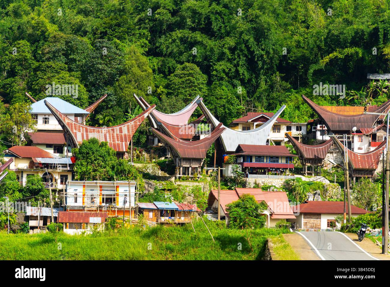 Panoramic view of traditional Toraja village in Lembang Parinding ...