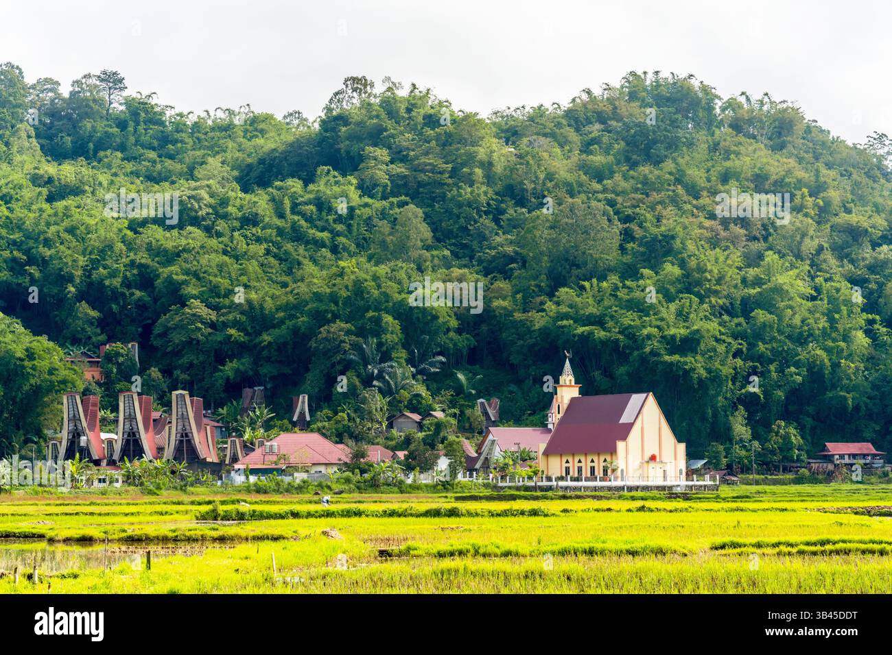 Panoramic view of traditional Toraja village in Lembang Parinding ...
