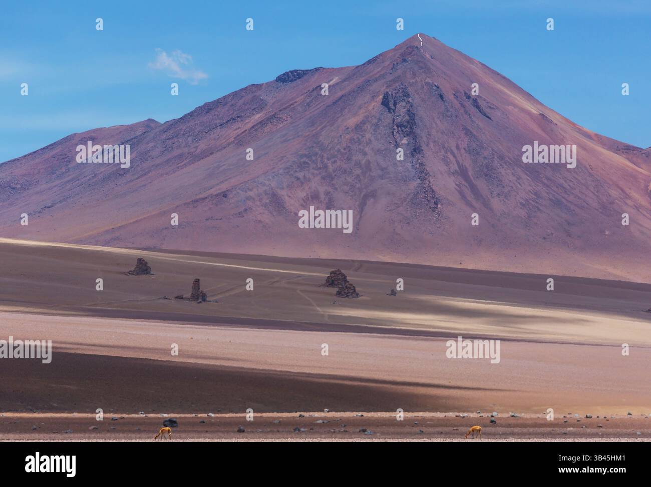 Epic Salvador Dali desert. Unusual natural landscapes in Bolivia Stock ...