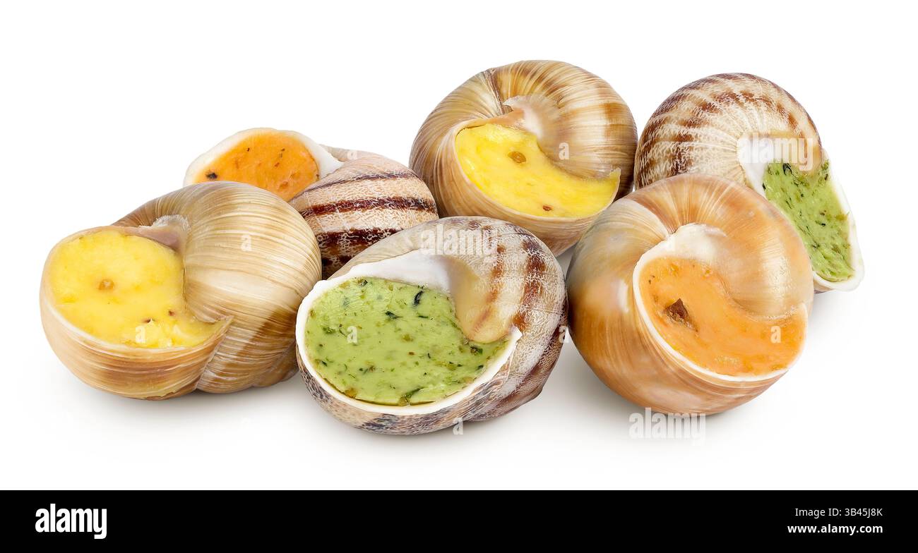 escargot snail filled with different fillings isolated on white ...