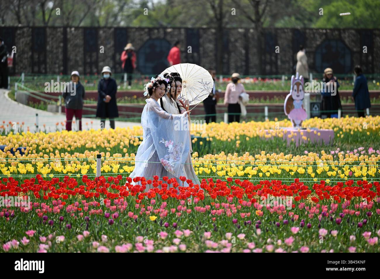 The 9th Beiling Park Huazhao Festival kicks off in Shenyang City ...