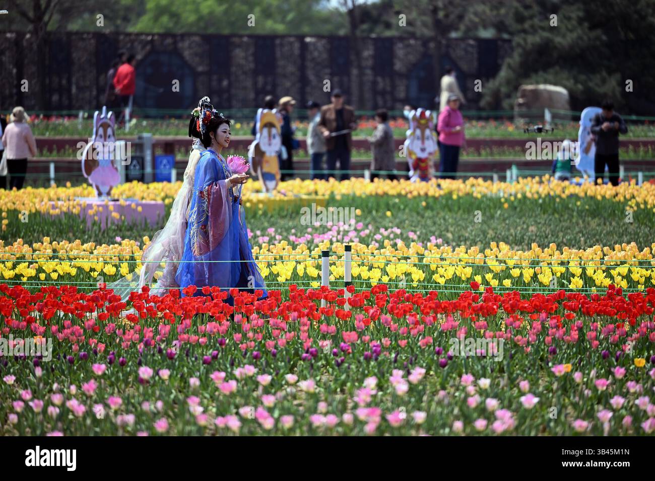 The 9th Beiling Park Huazhao Festival kicks off in Shenyang City ...