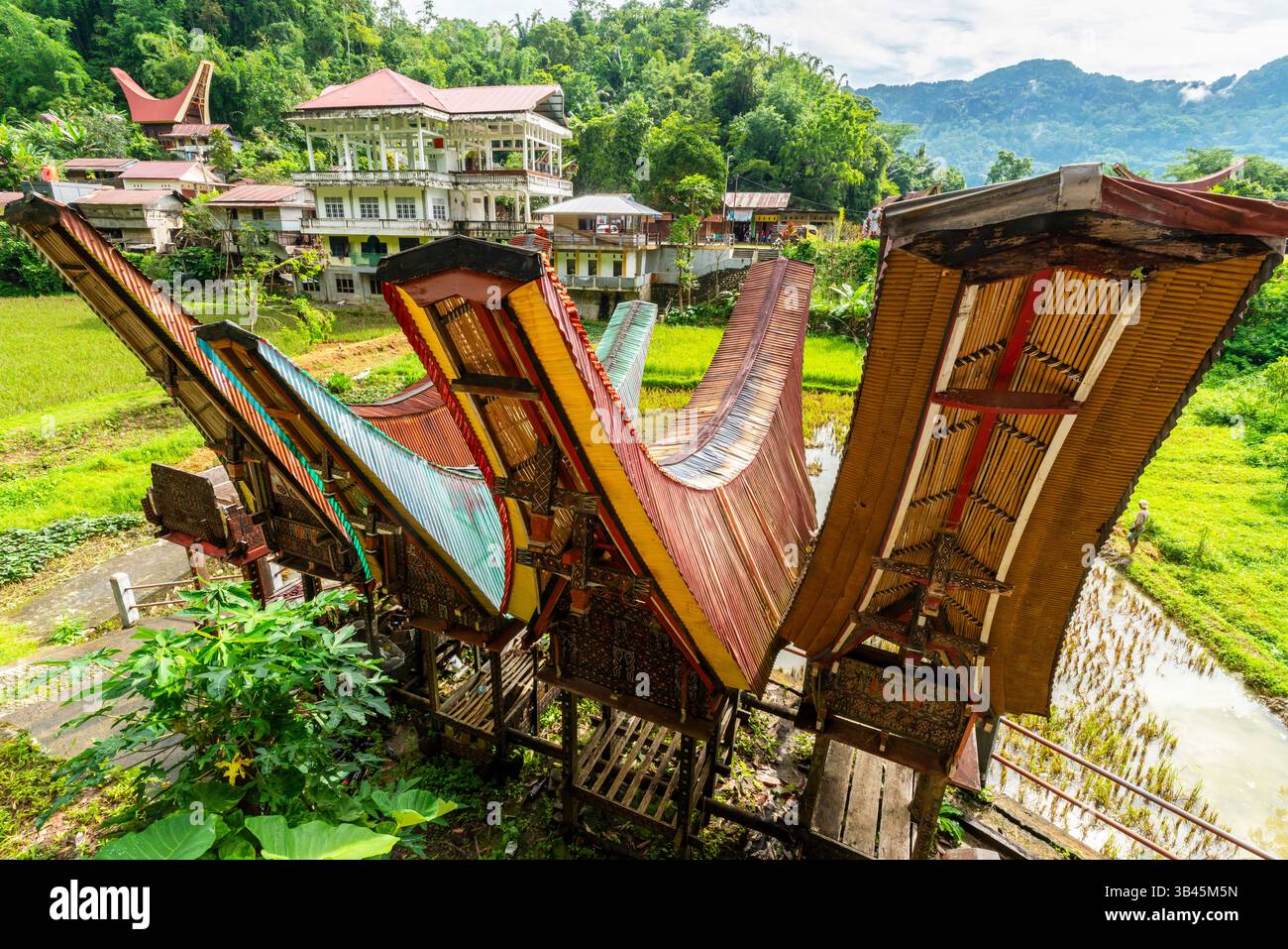 View boat-shaped house platforms by burial cliffs in Lemo village. One ...