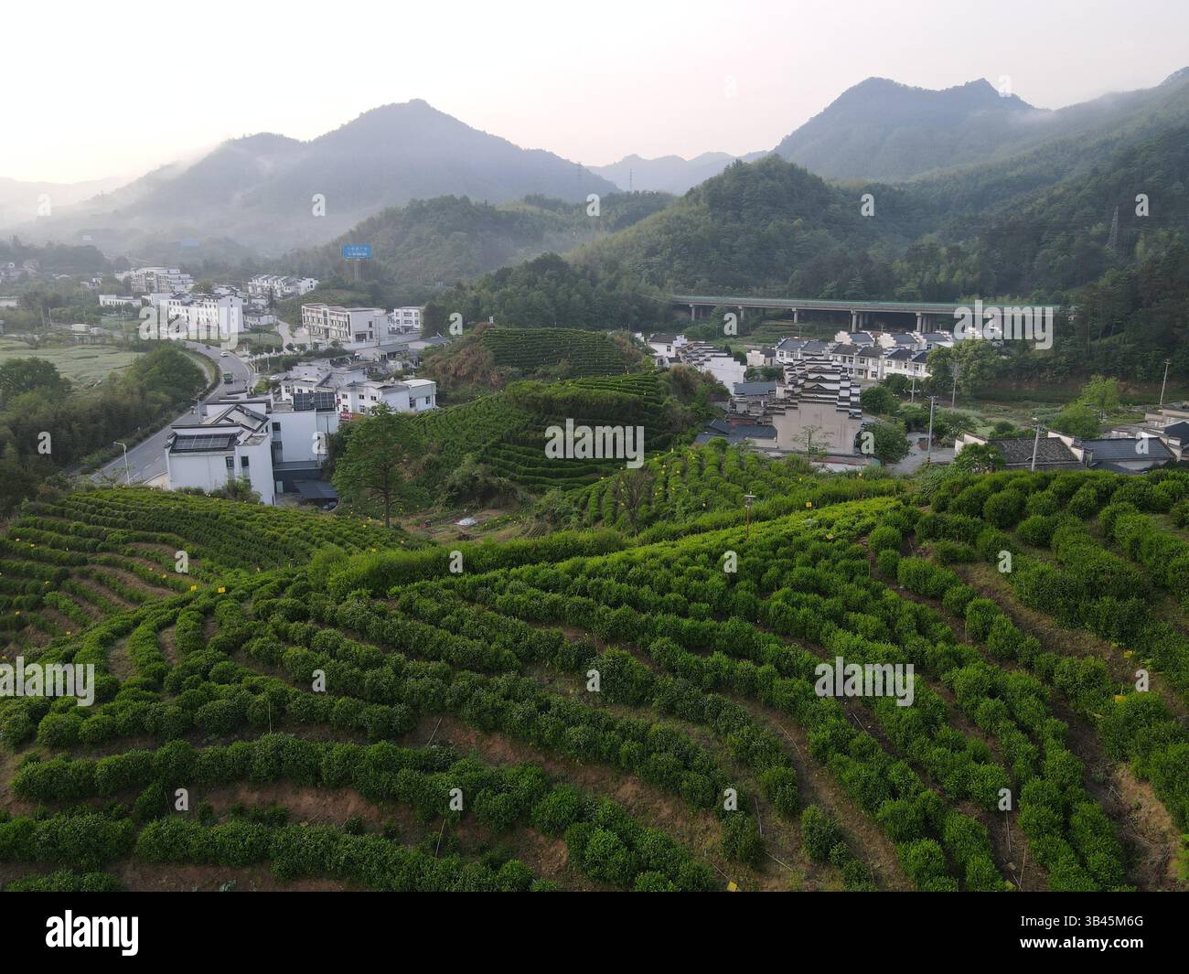 Aerial photo shows the spring scenery of a tea garden in Huangshan City ...