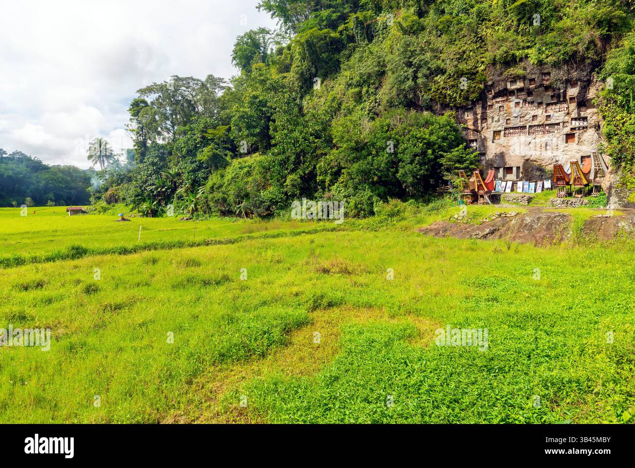 Torajan caves hi-res stock photography and images - Alamy