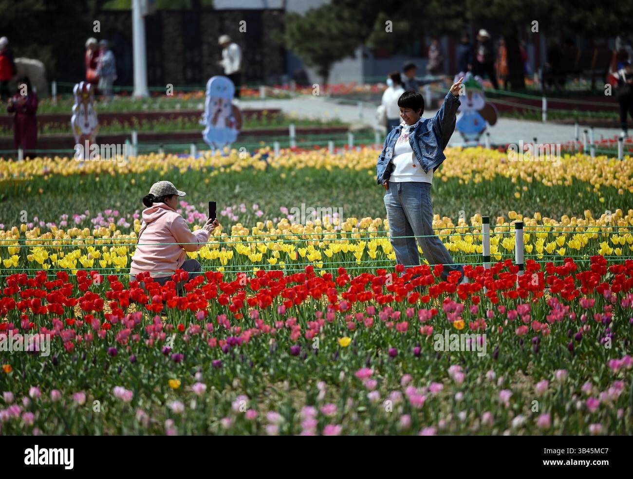 The 9th Beiling Park Huazhao Festival kicks off in Shenyang City ...