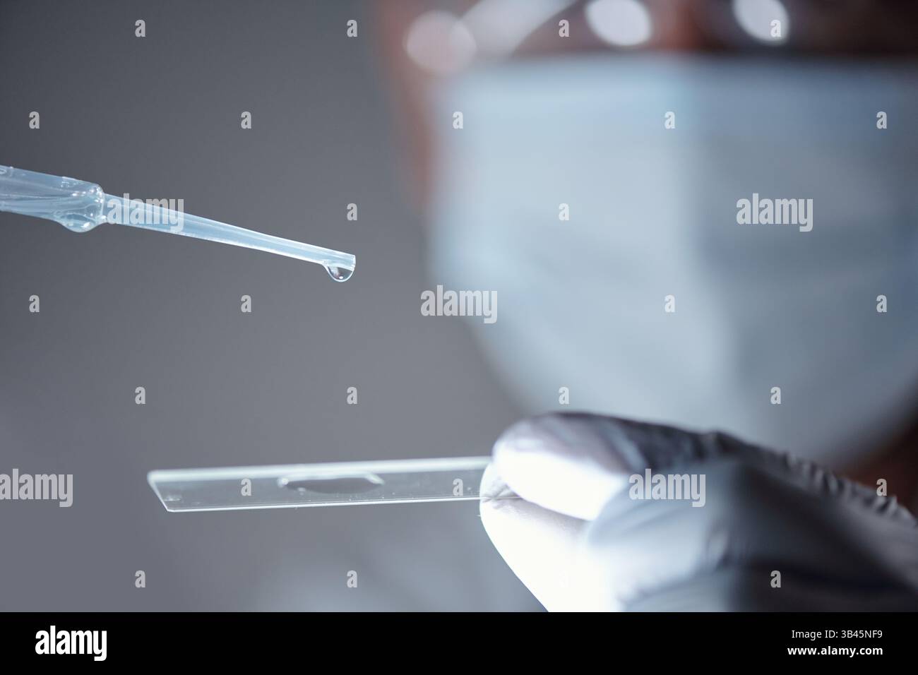 Gloved scientist handling laboratory slide and pipette for research ...
