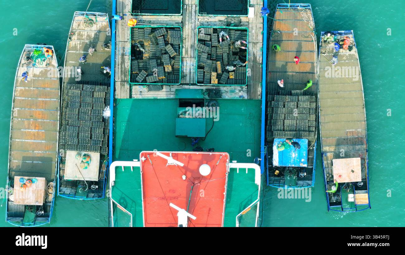 Aerial photo shows the "marine granary" in Rongcheng City, east China's ...