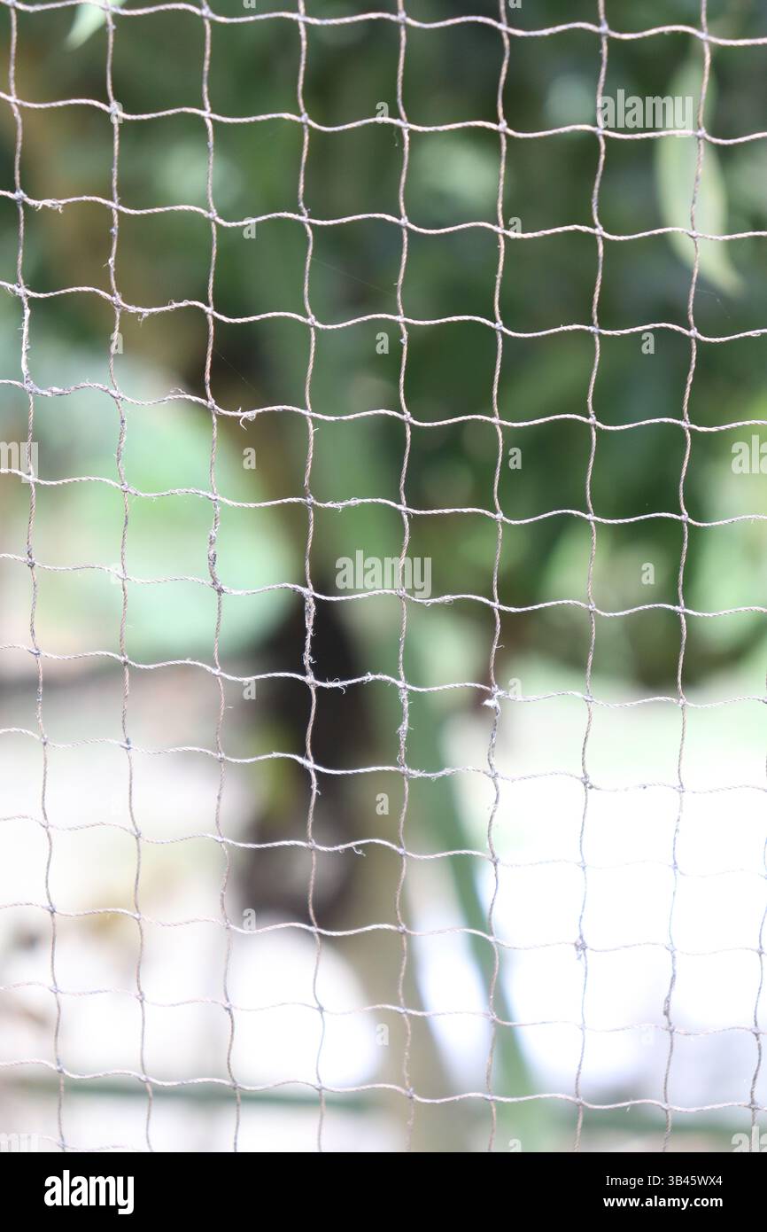 An extreme close-up shot featuring a mesh wire net pattern, creating an ...