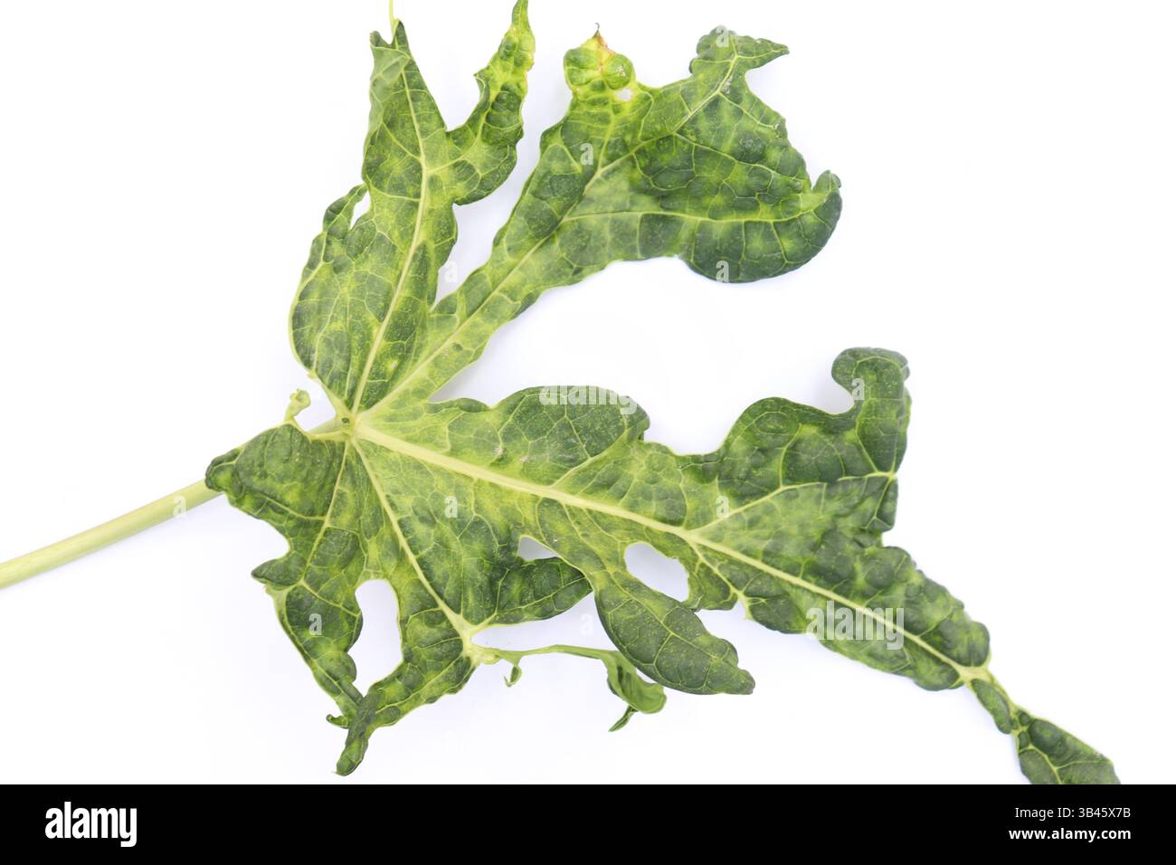 Distortion defect Cut Out Stock Images & Pictures - Alamy